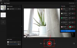 How to broadcast on StripChat