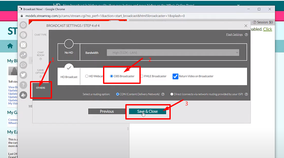 How to stream on StreamRay